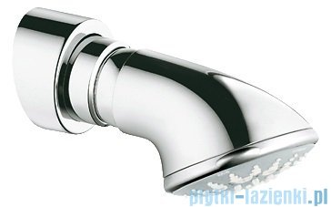 Grohe Relexa prysznic górny Five DN 15 5 rodzajów strumienia wody ...