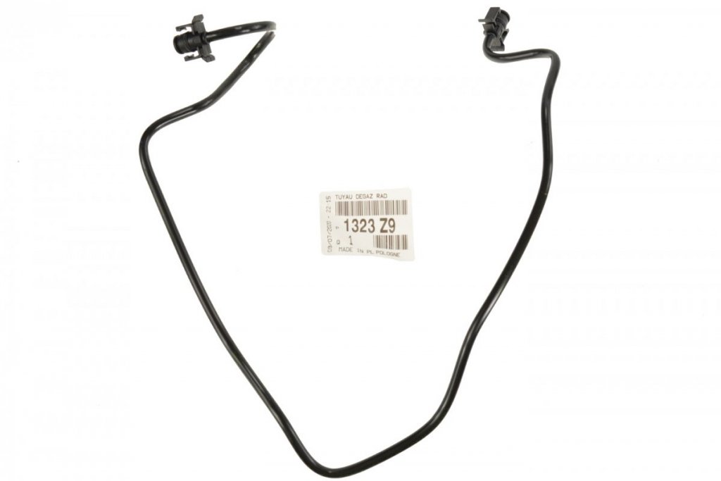 PRZEWÓD ZBIORNICZKA PŁYNU WODY 307 308 3008 5008 C4 C4 PICASSO DS4 DS5 ...