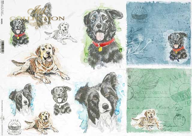 Rice paper A3 R0409L - dog, dog heads, 'happy farm' inscriptions ...