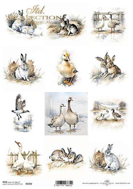 Rice paper R2350 * rabbits, geese, hares