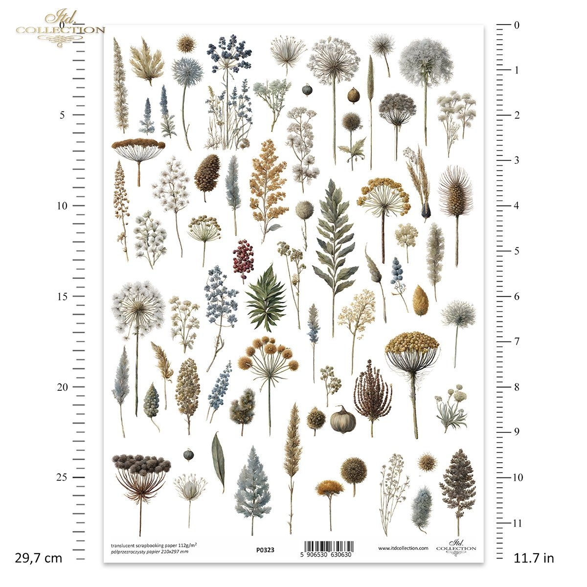 translucent scrapbooking paper P0323 Botanical Garden in Winter ...
