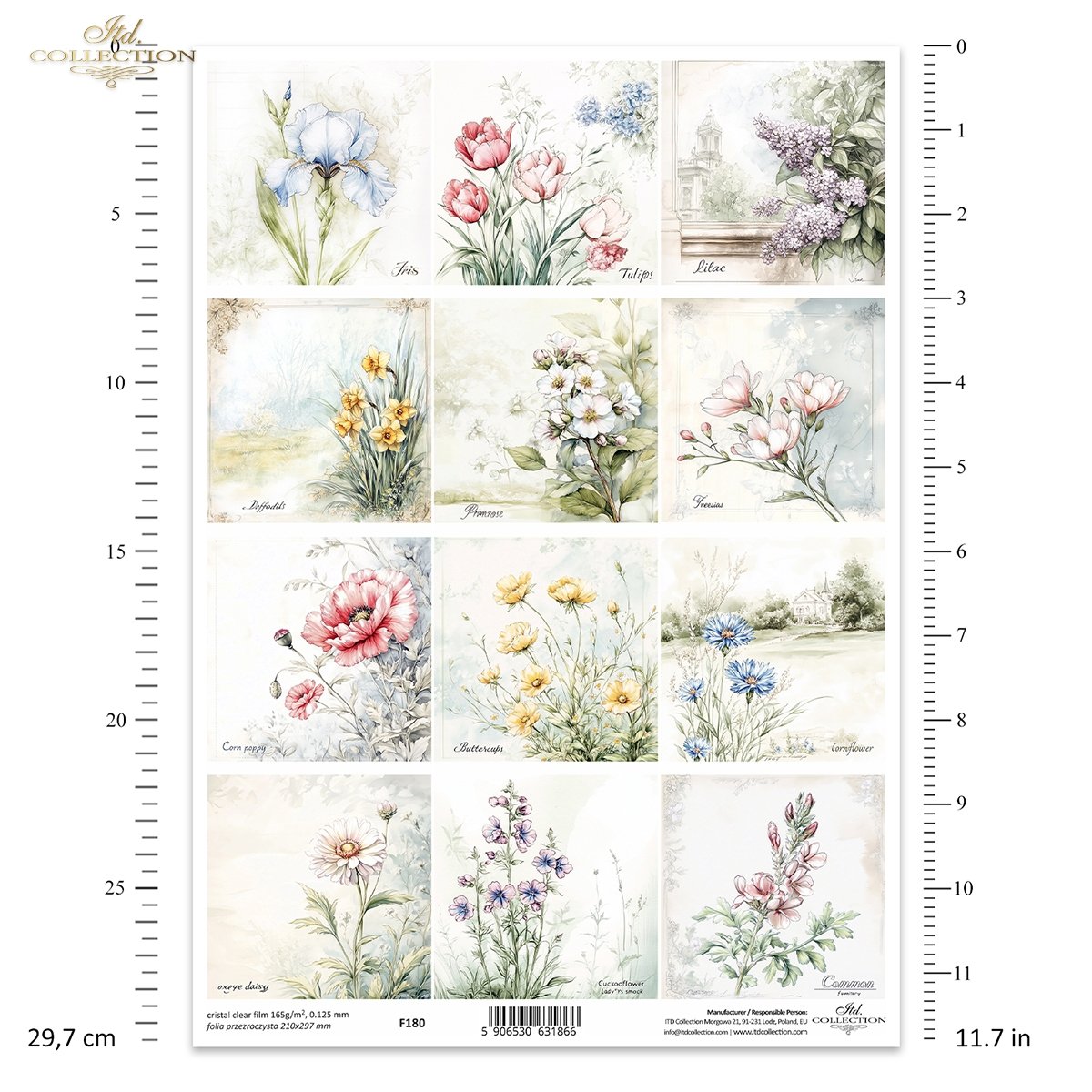 folia przezroczysta F180 Floral Shabby Chic * kwiaty, mak, jaskier ...