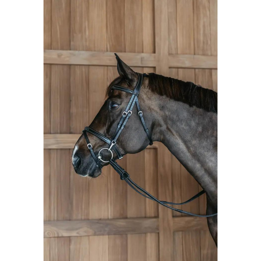 DYON FLASH NOSEBAND BRIDLE WITH SNAPS Ogłowie anatomiczne dla konia ...