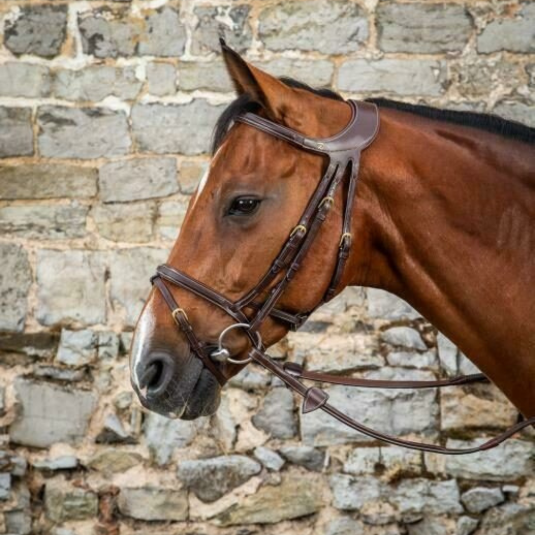 DYON DIFFERENCE COLLECTION Ogłowie dla koni z wrażliwą potylicą - Koń ...