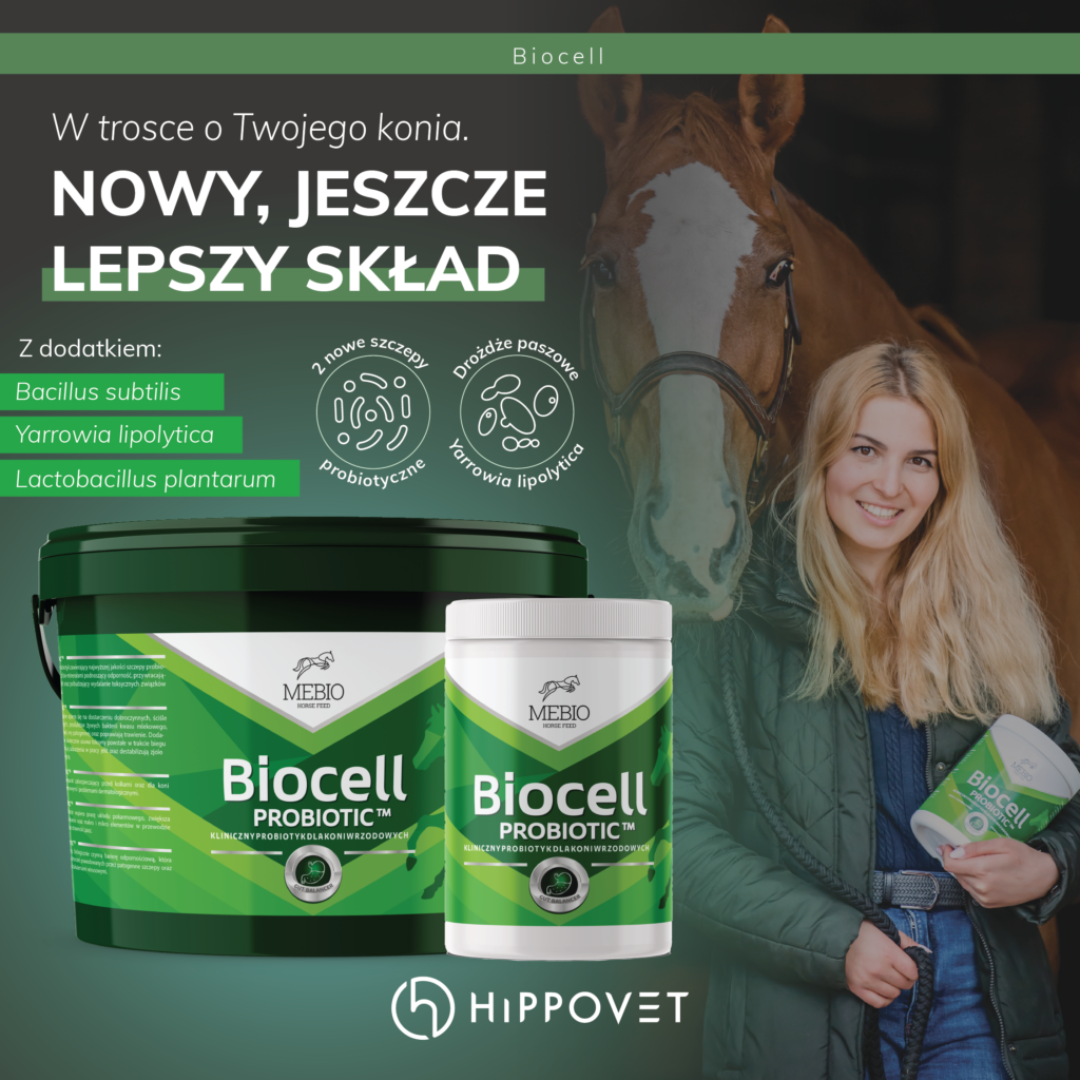 MEBIO BioCELL COMPLEX Probiotyk dla koni 1kg - Jelita Układ pokarmowy ...