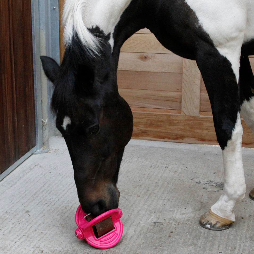 BIZZY BALL Lizawka zabawka dla koni do boksu